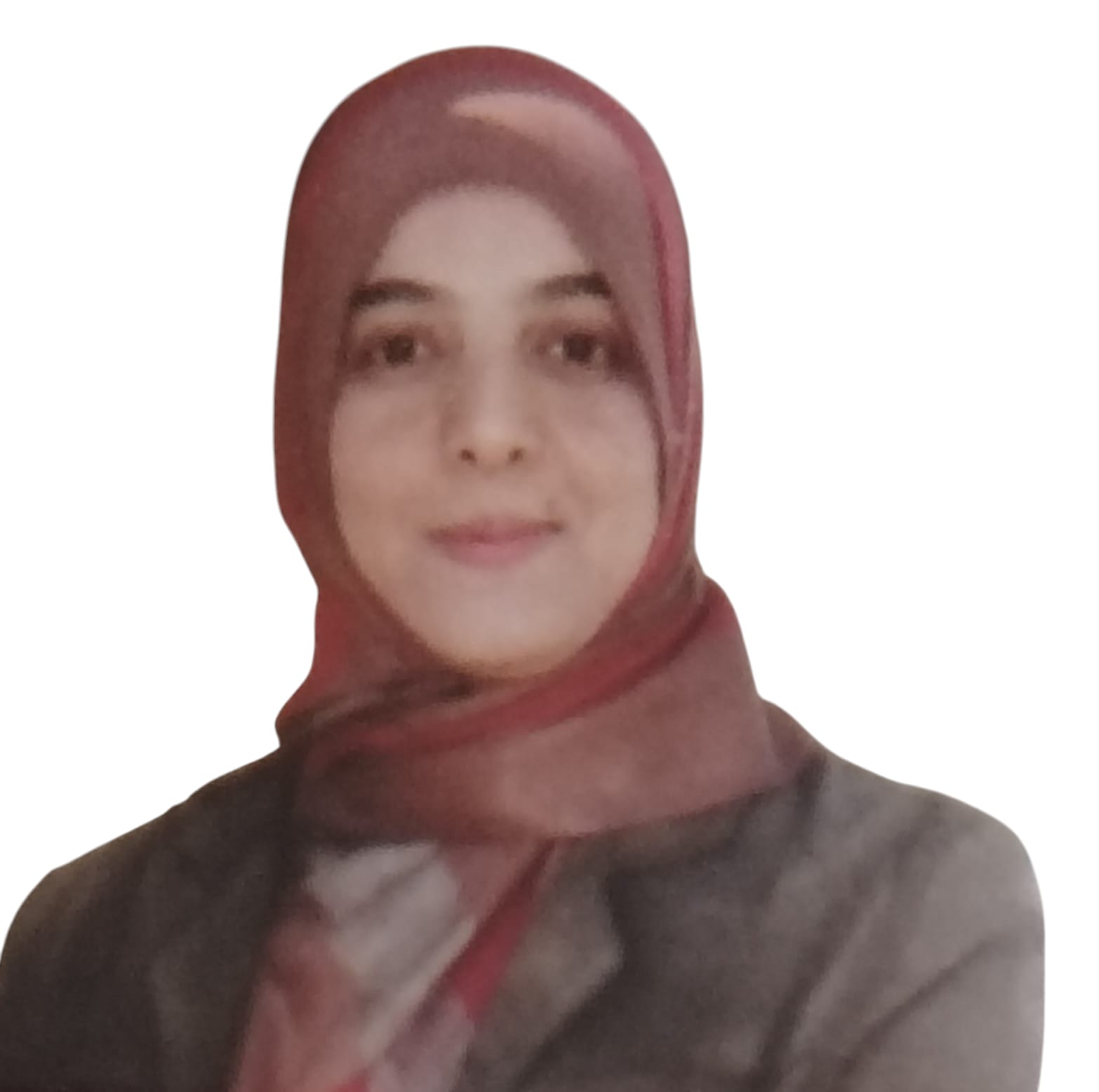 نظام السيرة الذاتية | جامعة الموصل